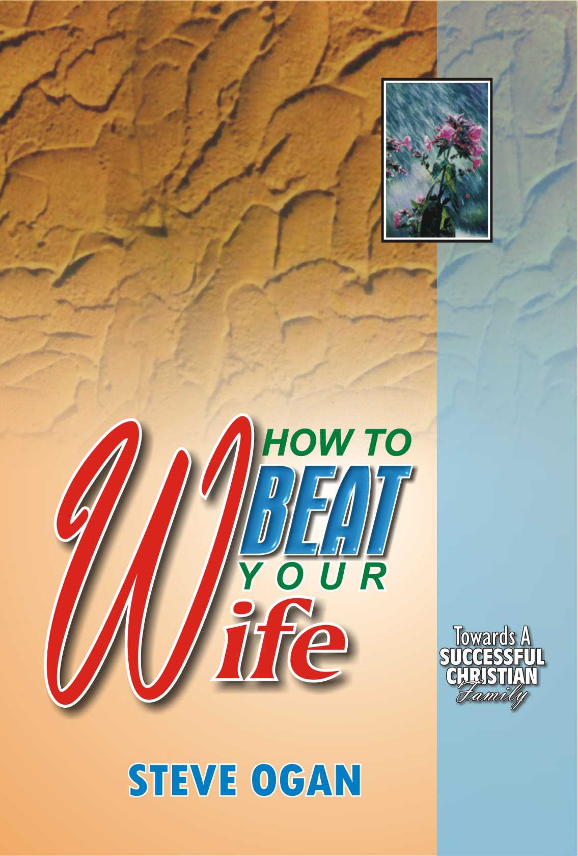 HOW TO BEAT YOUR WIFE (Soft Copy) | Dr Steve Ogan's Books